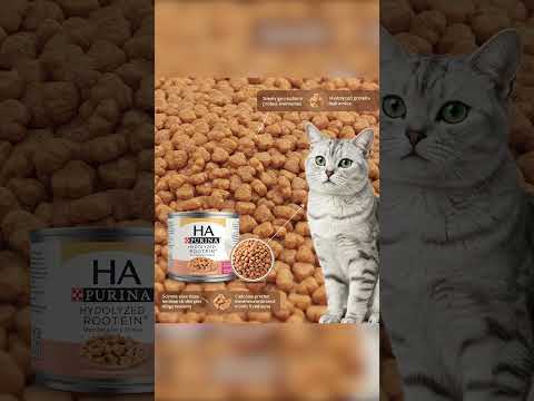 Purina HA Wet Cat Food Reviews: Comparing All Product Lines from Budget ...